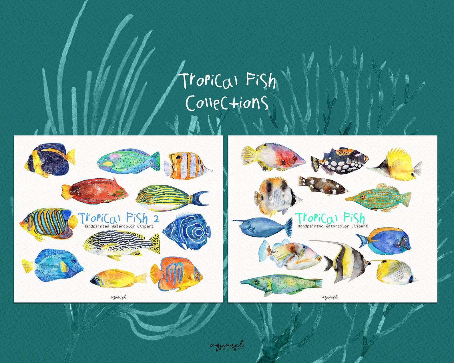 Watercolor TROPICAL FISH 2 Clipart Colorful Fish Clipart - Etsy UK
