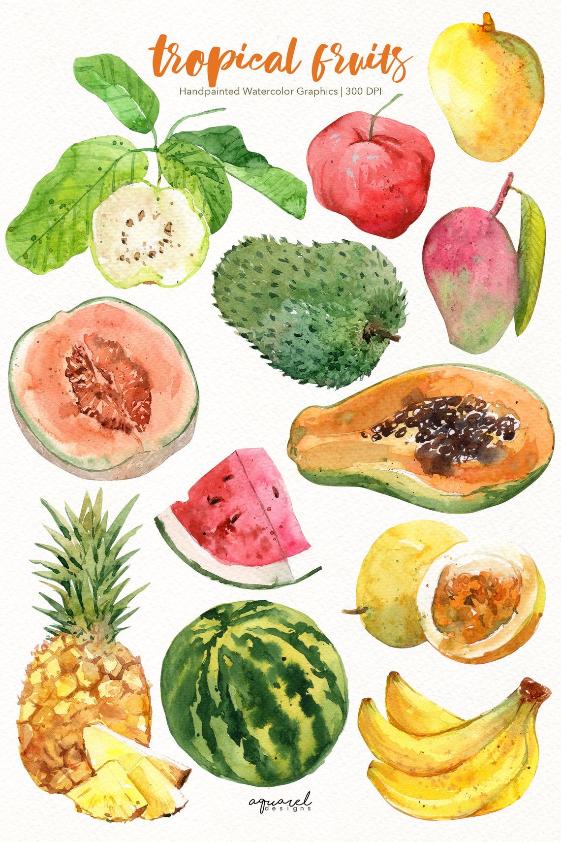 TROPICAL FRUITS Watercolor Clipart Tropical Fruits Summer - Etsy