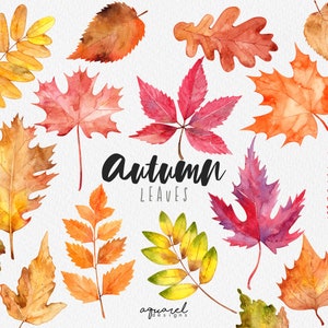 Watercolor Autumn Leaves Clipart, Hand Painted, Fall Leaf, Autumn Decor ...