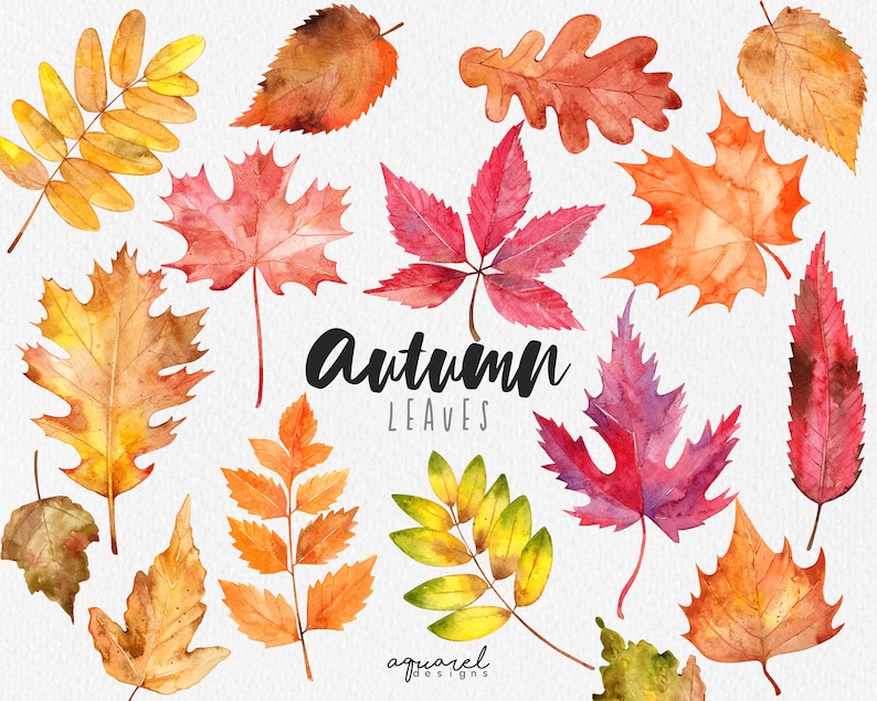 Watercolor Autumn Leaves Clipart, Hand Painted, Fall Leaf, Autumn Decor ...