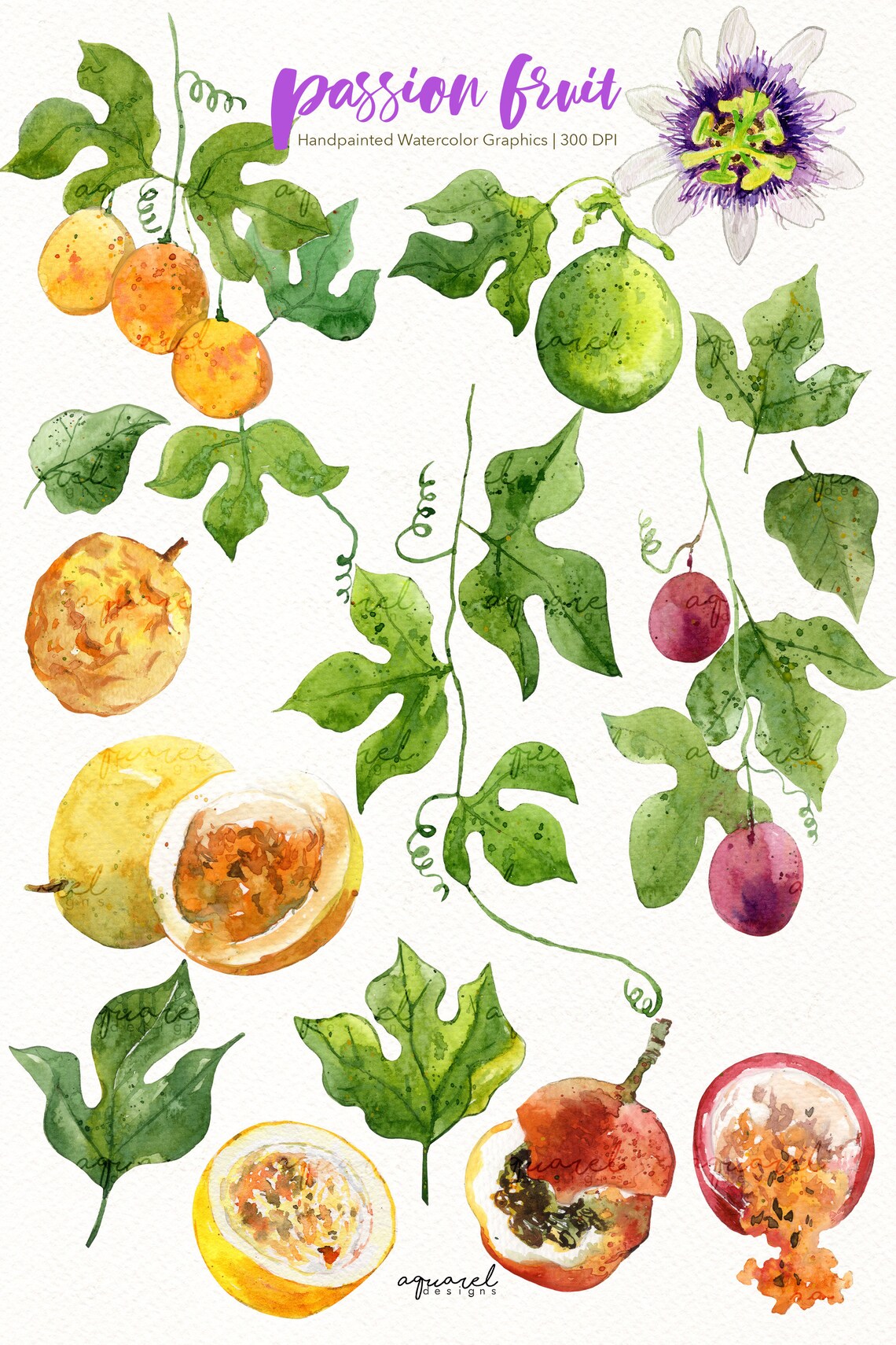 PASSION FRUIT Watercolor Clipart Tropical Fruits Summer - Etsy