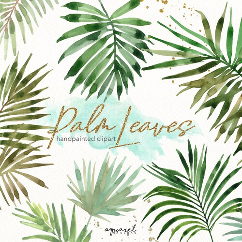 Tropical Leaves Clipart Green Palm Leaves Monstera Leaf Png - Etsy