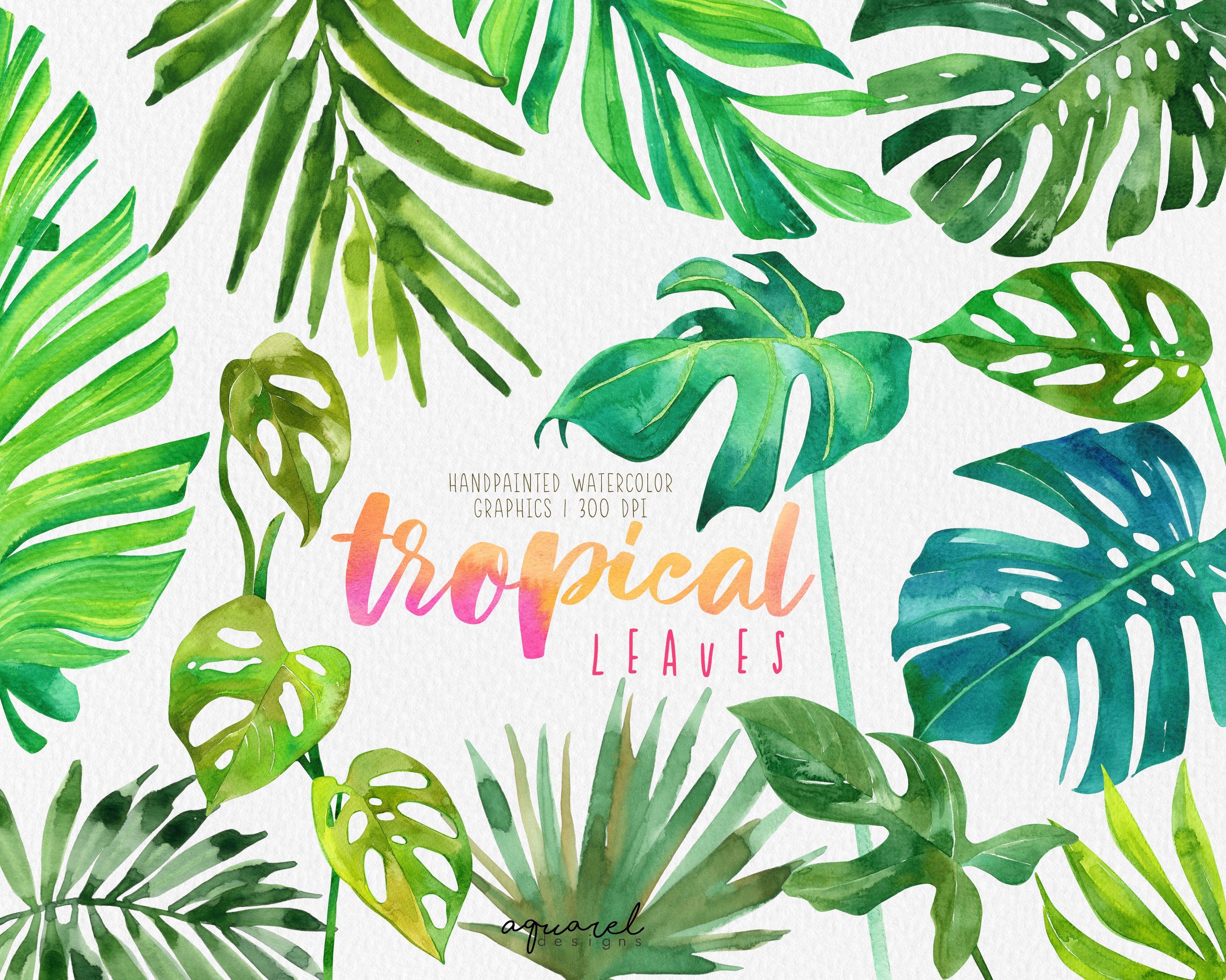 Watercolor Tropical Leaves Clipart Hawaii Clipart Monstera - Etsy