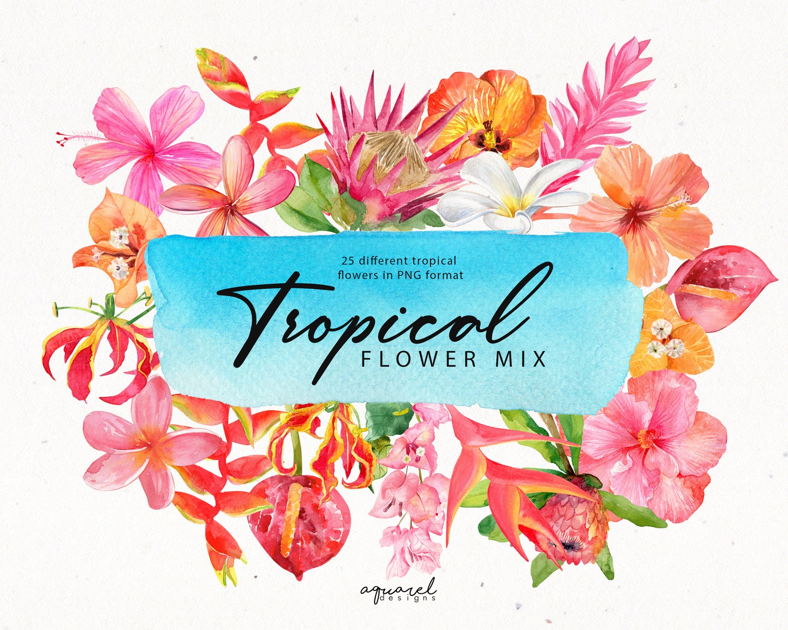 TROPICAL FLOWERS Watercolor Clipart Hibiscus Plumeria - Etsy