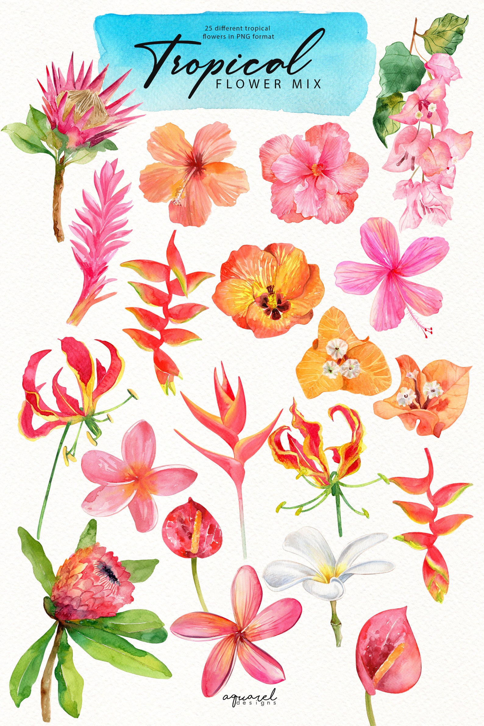 TROPICAL FLOWERS Watercolor Clipart Hibiscus Plumeria - Etsy
