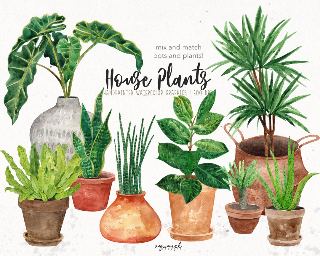 Indoor Plants Clipart, Watercolor Houseplants, Watercolour Leaves ...