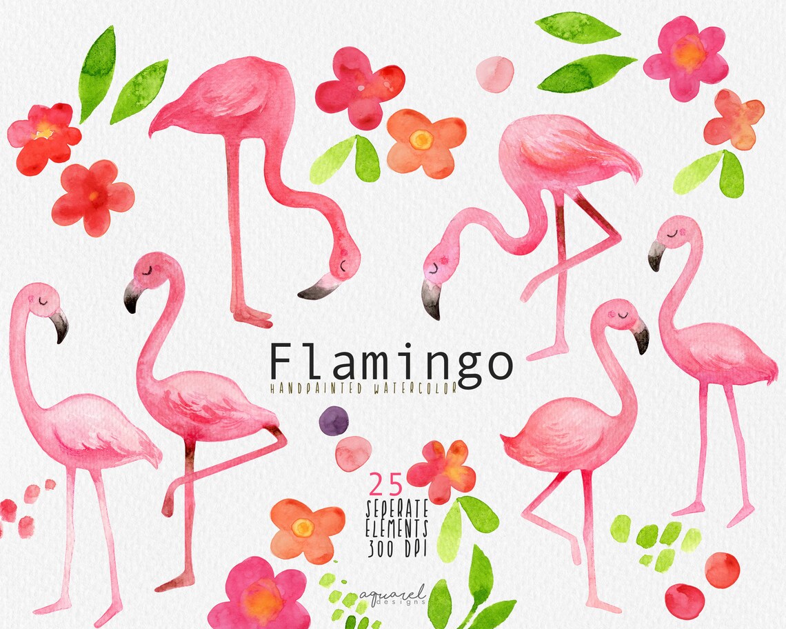 Watercolor Flamingo Clipart Watercolor Summer Floral Clipart | Etsy