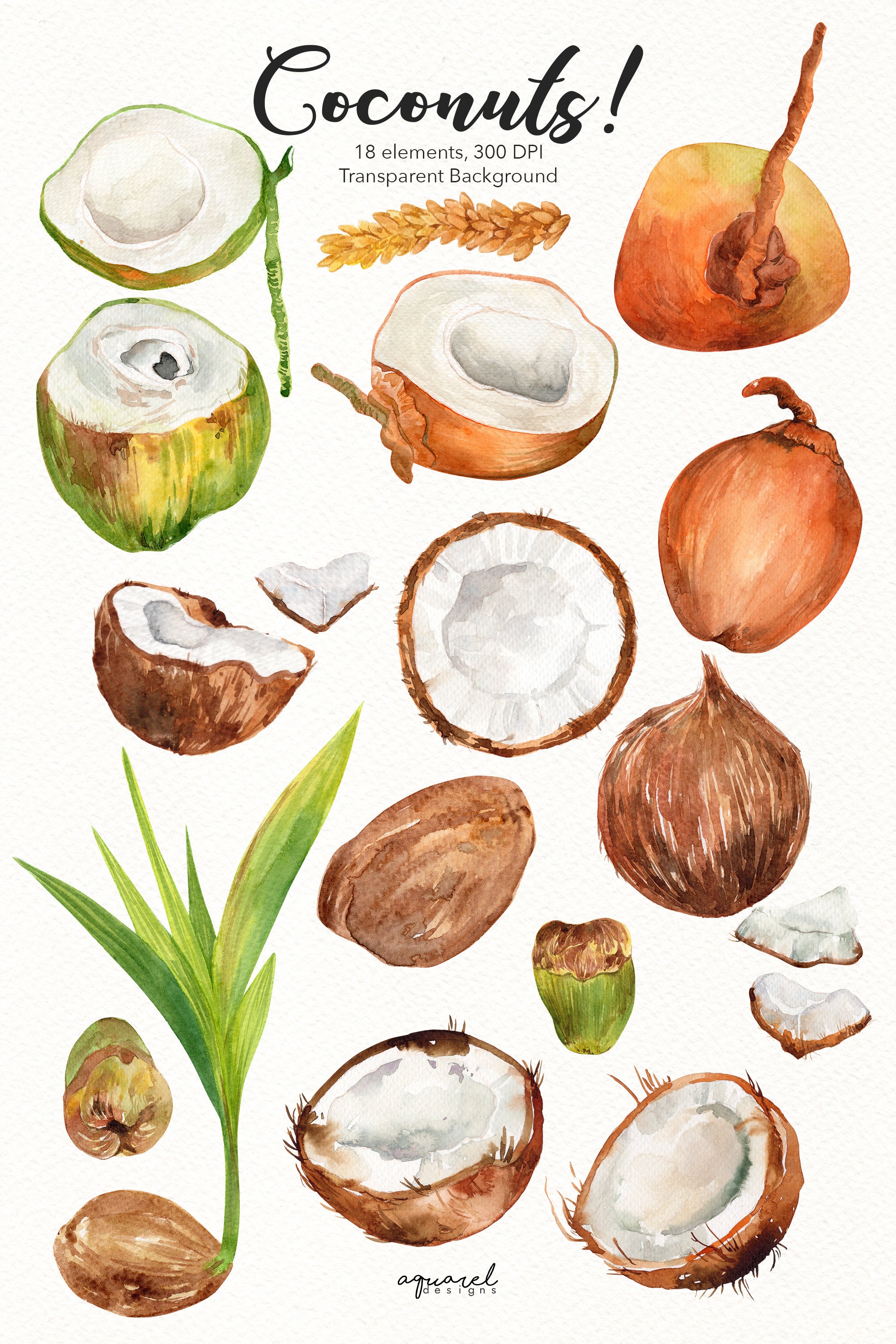 Coconut Clipart, Watercolor Clipart, Tropical Clipart, Food Clipart ...
