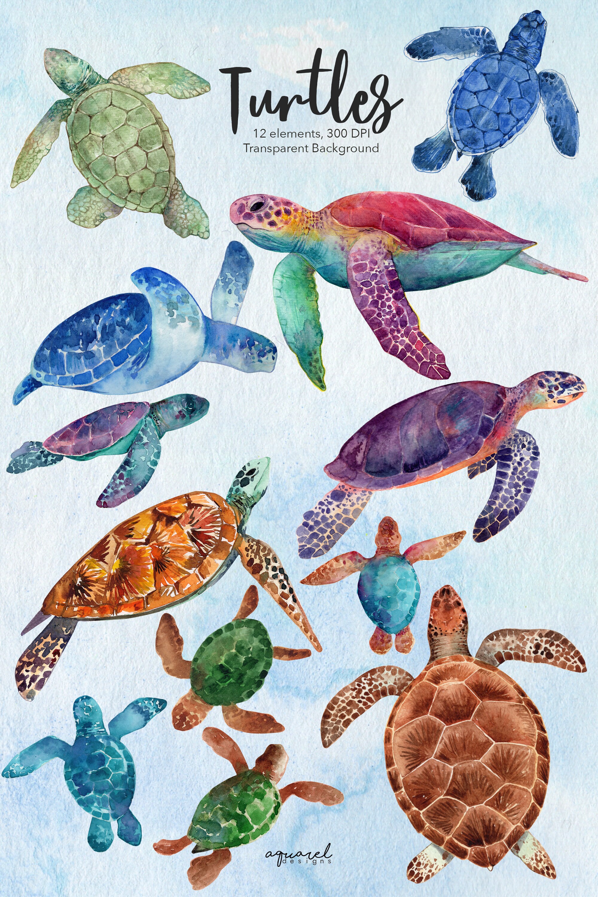 Watercolor SEA TURTLES Clipart Baby Showers Nursery Decor | Etsy Canada