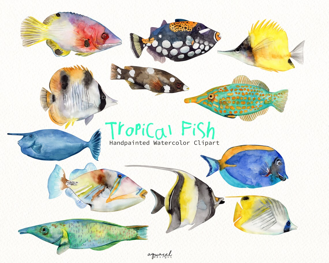 Watercolor TROPICAL FISH Clipart Colorful Fish Clipart Reef - Etsy