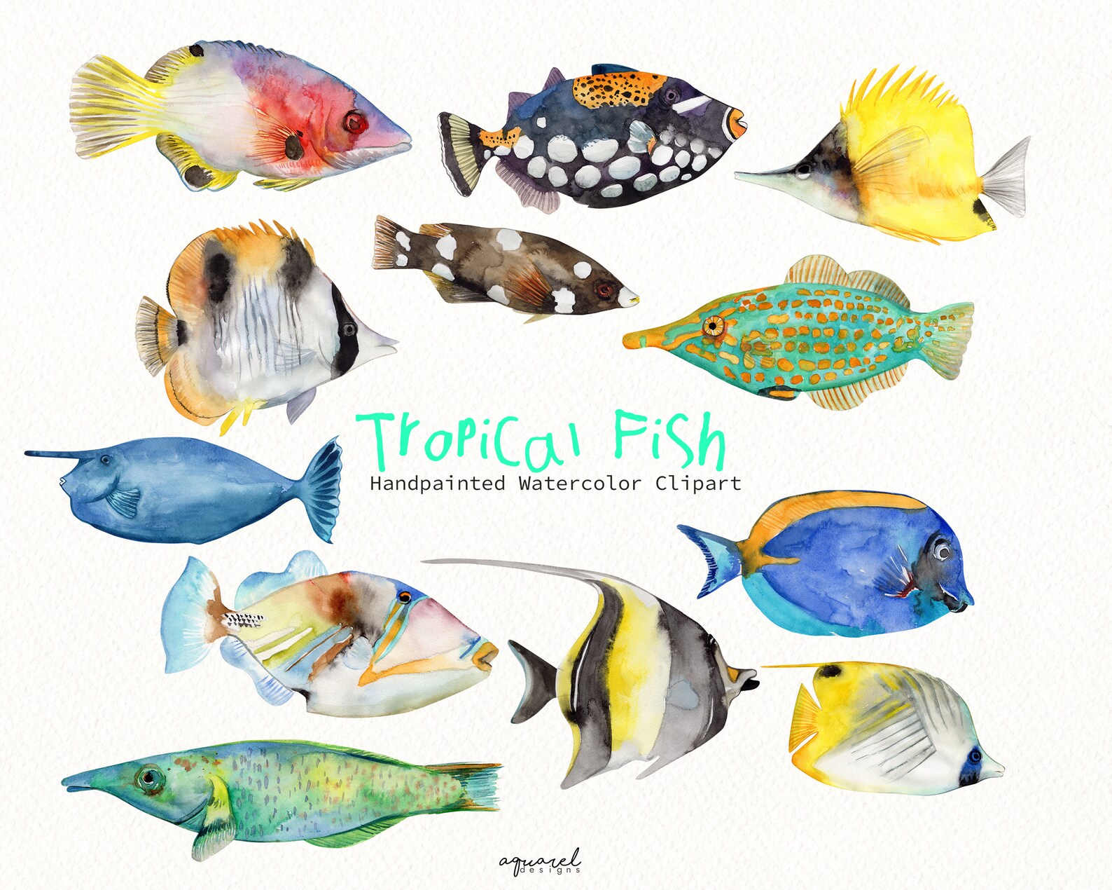 Watercolor TROPICAL FISH Clipart Colorful Fish Clipart Reef - Etsy