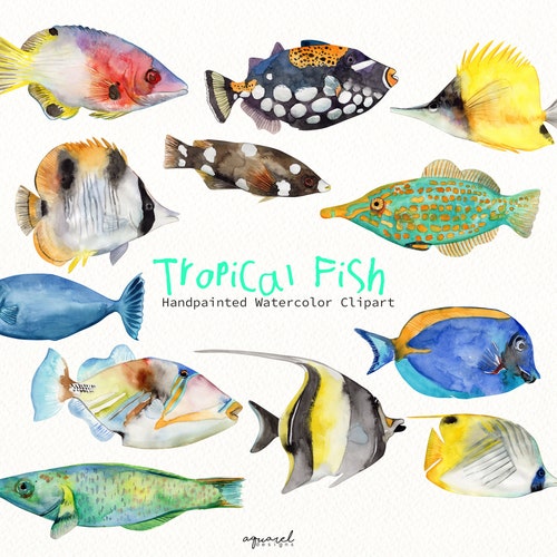 Watercolor Coral Reef Fish Clipart Ocean Clipart Sea Life - Etsy