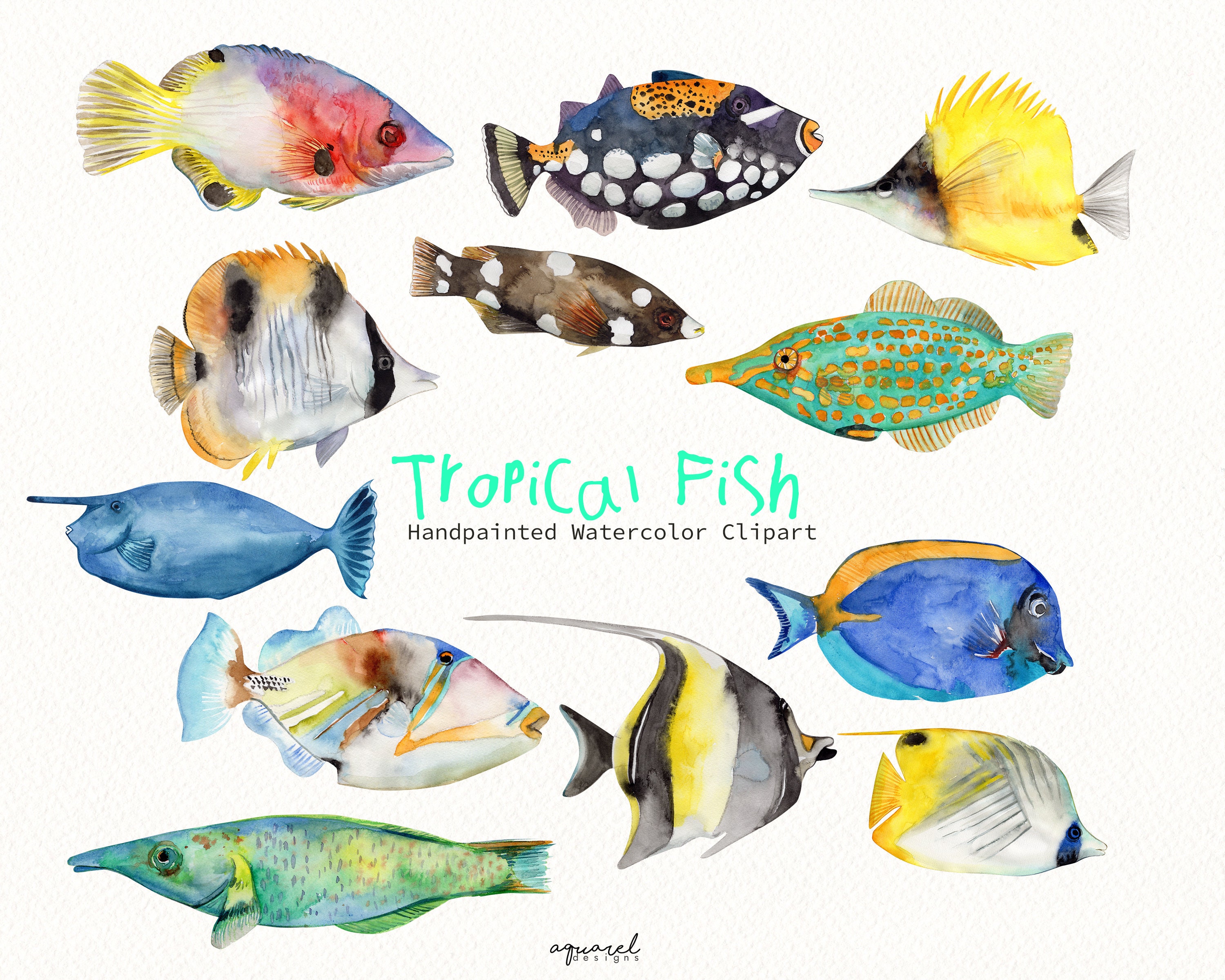 Tropical Fish Watercolor