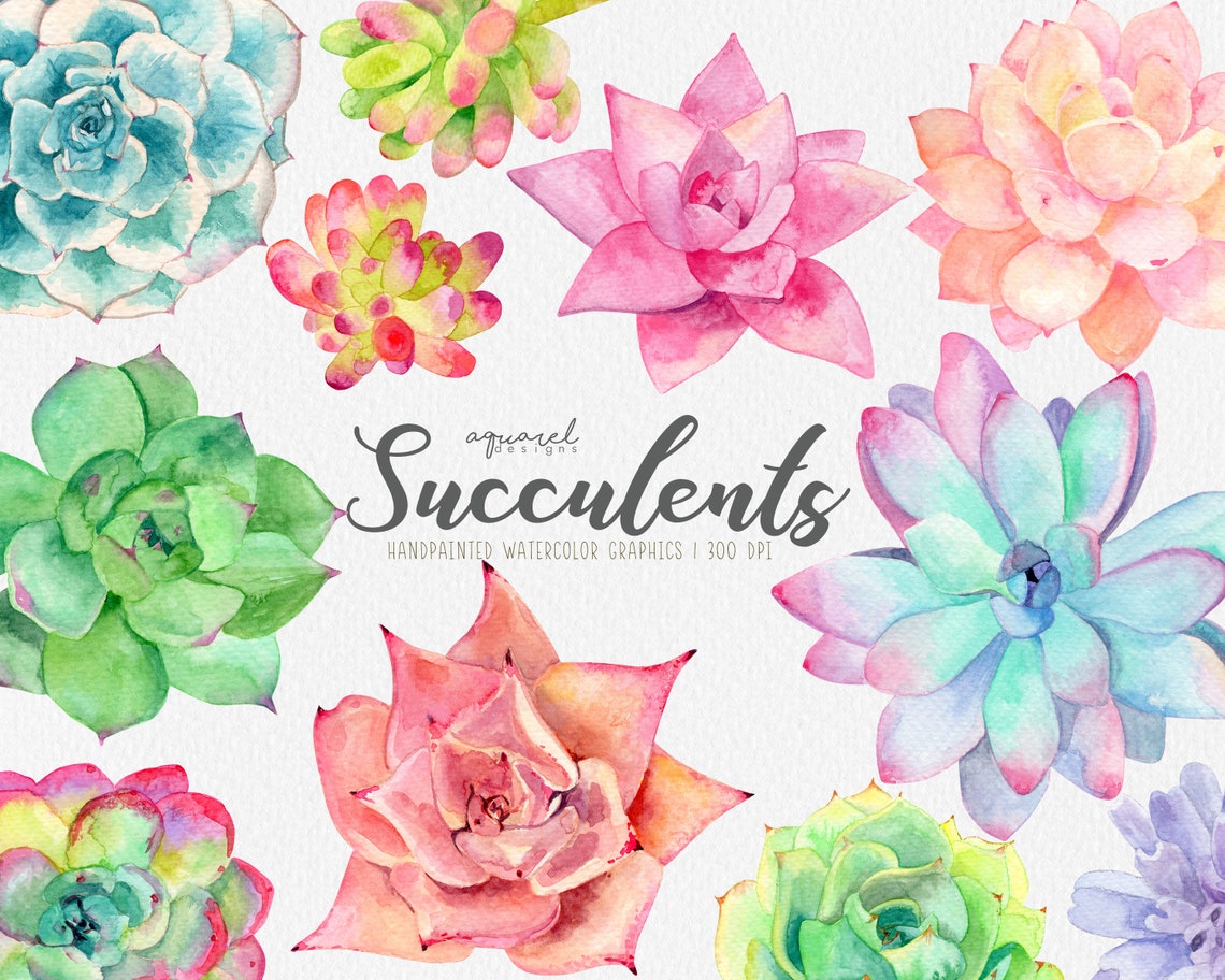 Watercolor Succulents Succulent Clipart Cactus Clipart | Etsy