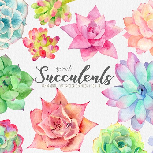 Watercolor Succulents Succulent Clipart Cactus Clipart - Etsy