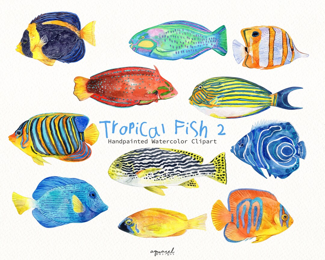 Watercolor TROPICAL FISH 2 Clipart | Colorful Fish Clipart, Reef Fish ...