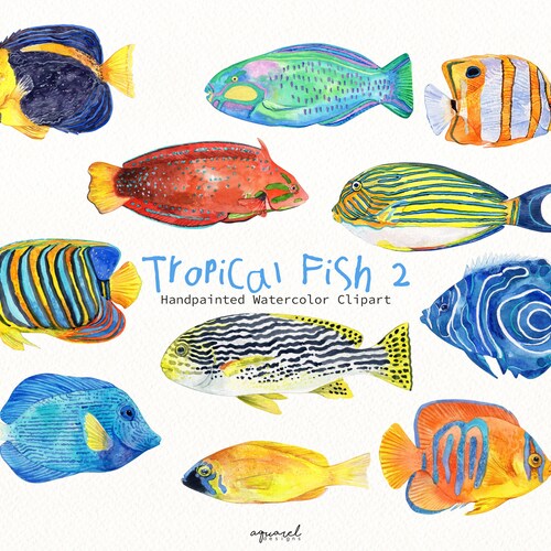 Watercolor TROPICAL FISH Clipart Colorful Fish Clipart Reef - Etsy