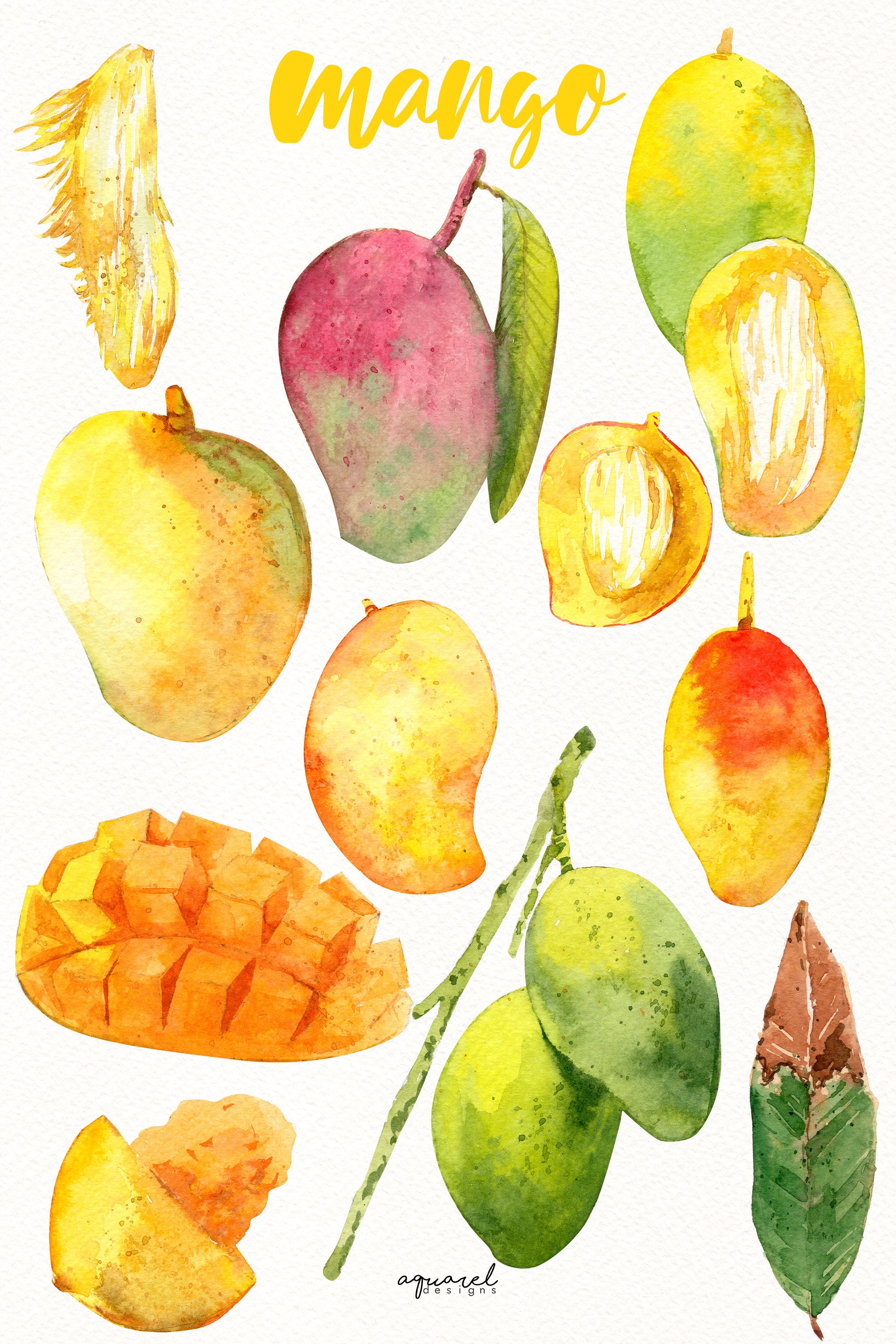 MANGO Watercolor Fruit Clipart, Citrus, Summer, Tropical, Beach ...