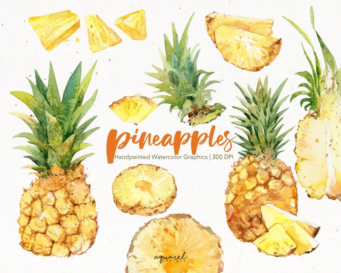 PINEAPPLE Watercolor Clipart Tropical Fruits Summer Hand - Etsy