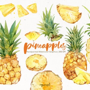PINEAPPLE, Watercolor Clipart, Tropical Fruits, Summer, Hand Painted ...