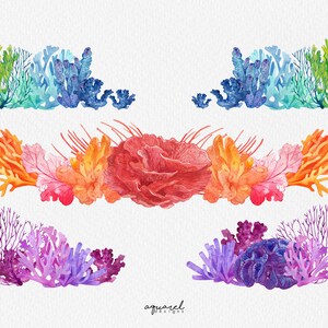 CORAL REEF | Watercolor Clip Art, Colorful Corals, Borders and Frames ...