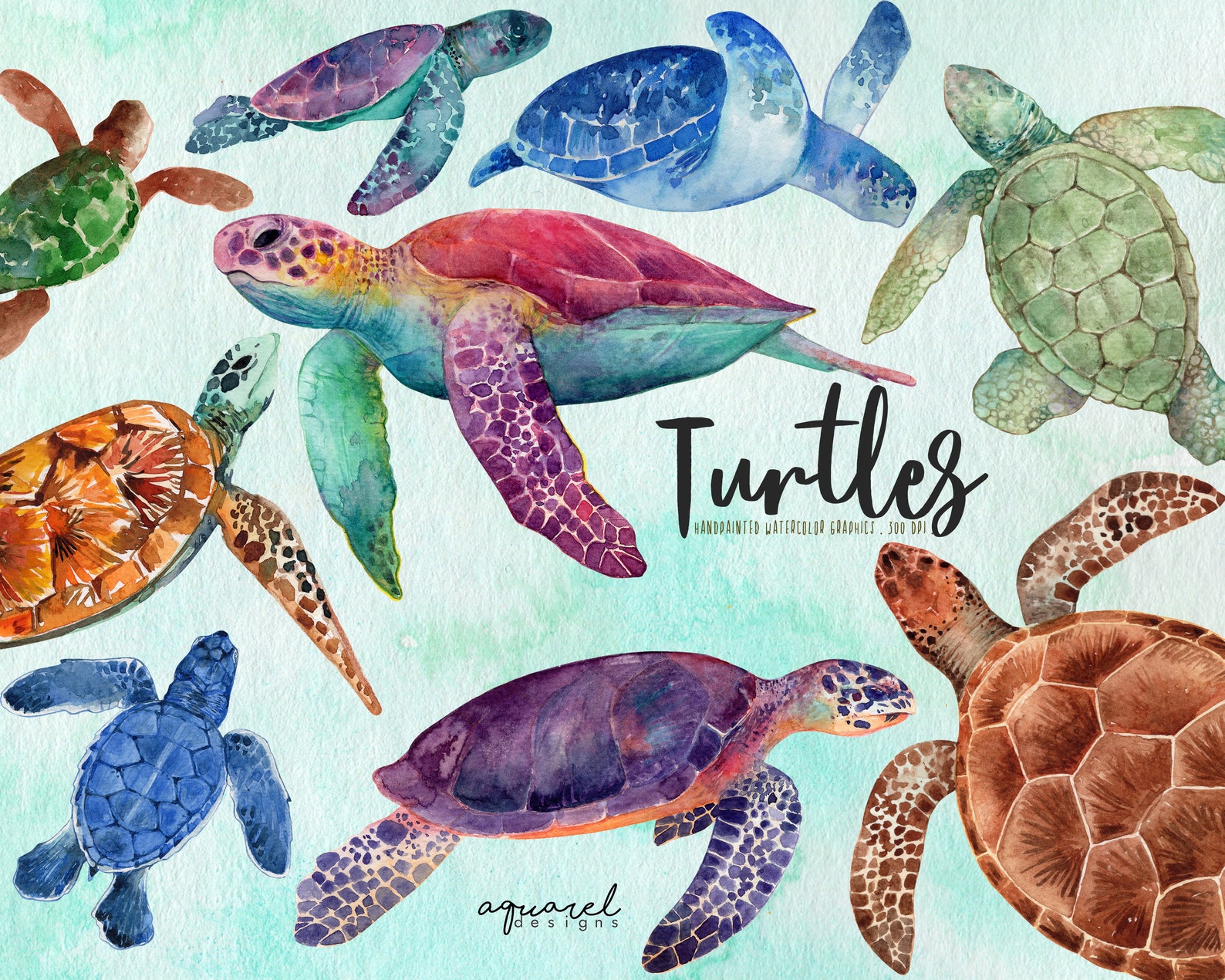 Watercolor SEA TURTLES Clipart Baby Showers Nursery Decor | Etsy