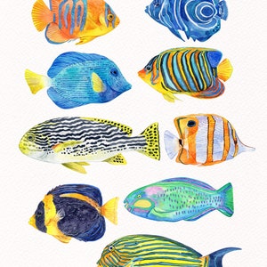 Watercolor TROPICAL FISH 2 Clipart | Colorful Fish Clipart, Reef Fish ...