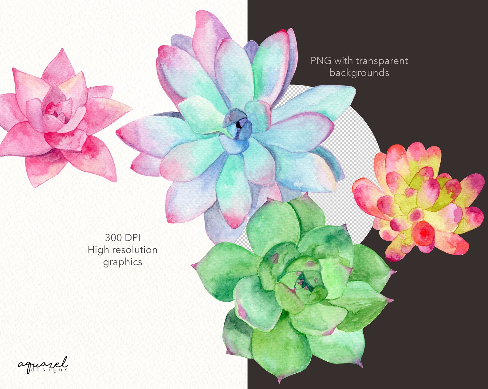 Watercolor Succulents Succulent Clipart Cactus Clipart - Etsy