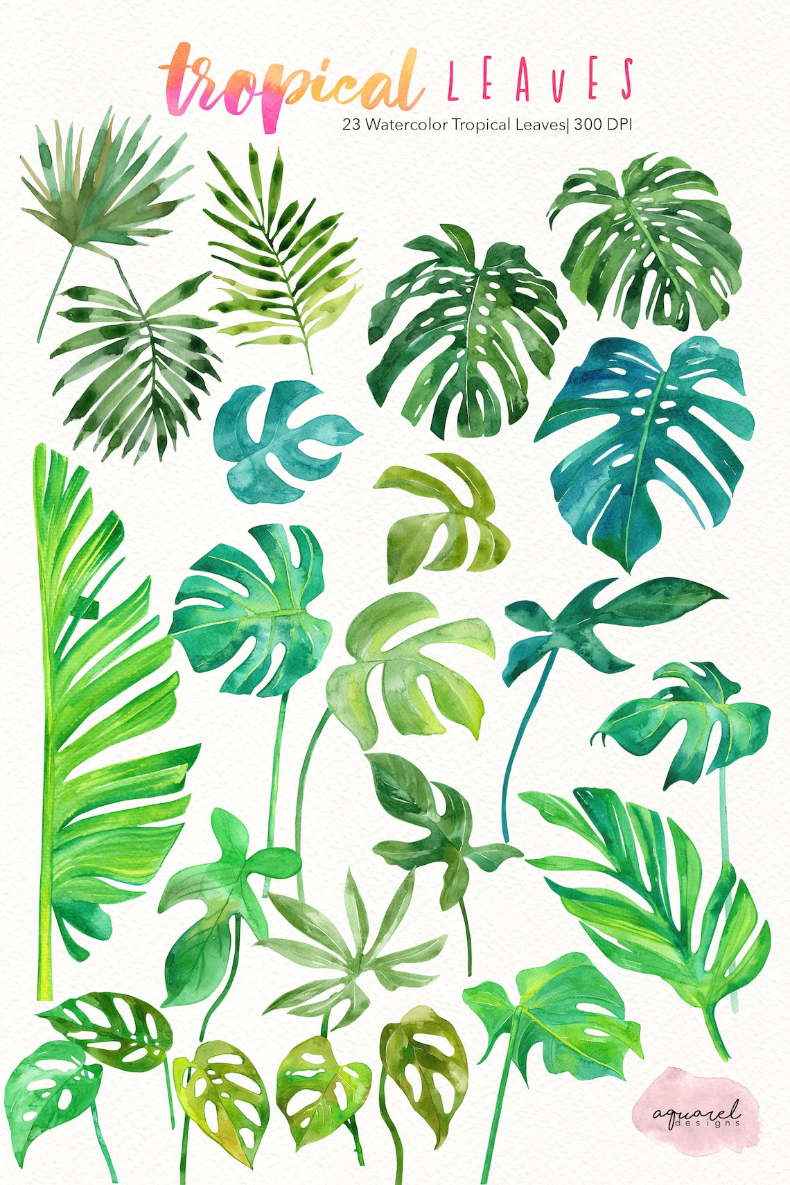 Watercolor Tropical Leaves Clipart Hawaii Clipart Monstera - Etsy