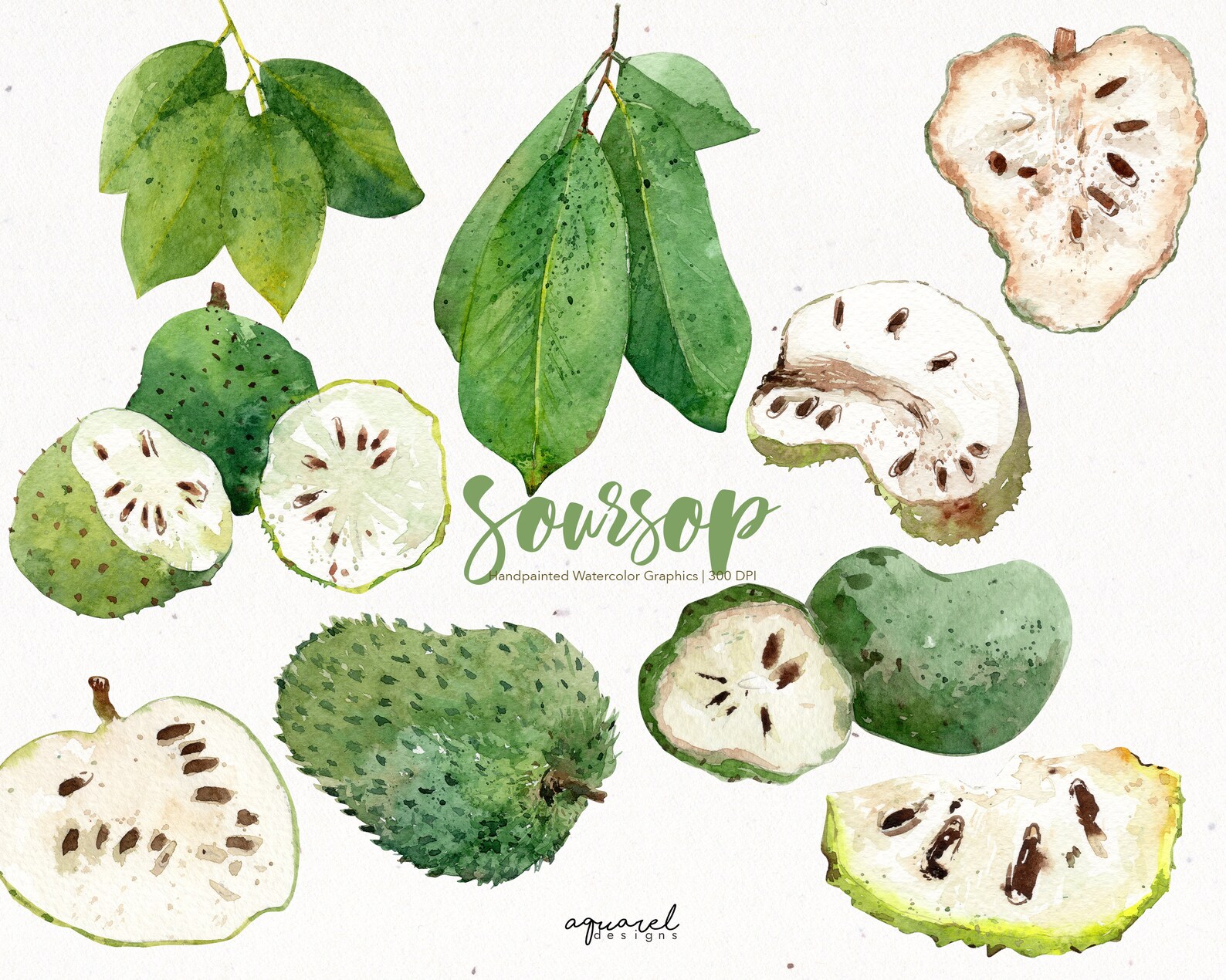 SOURSOP Watercolor Clipart, Tropical Fruits, Summer, Beach, Printable ...
