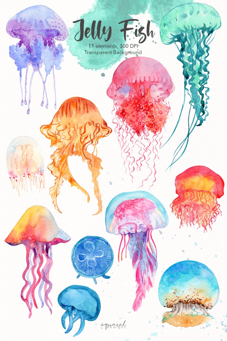 Watercolor Jellyfish Clipart Jellyfish Download Underwater - Etsy