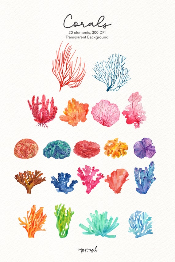 Coral Clip Art