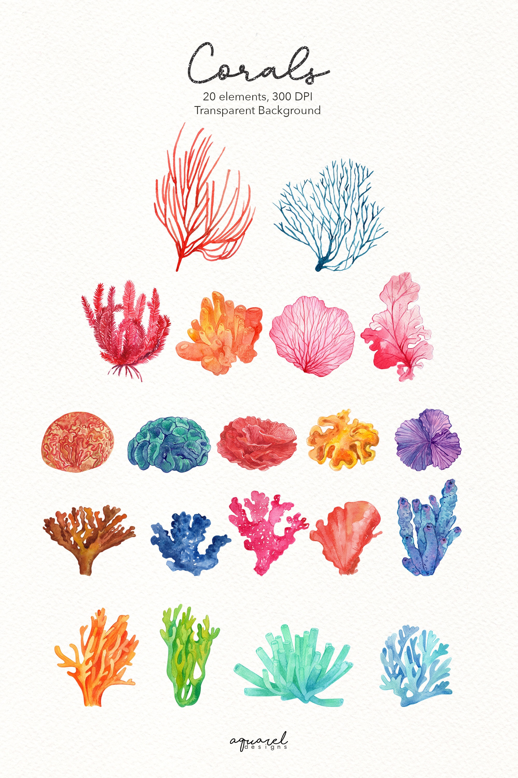 Sea Coral Reef Drawings