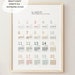 Neutral Numbers With Ten Frame, Learning Numbers 1 - 20, Printable ...