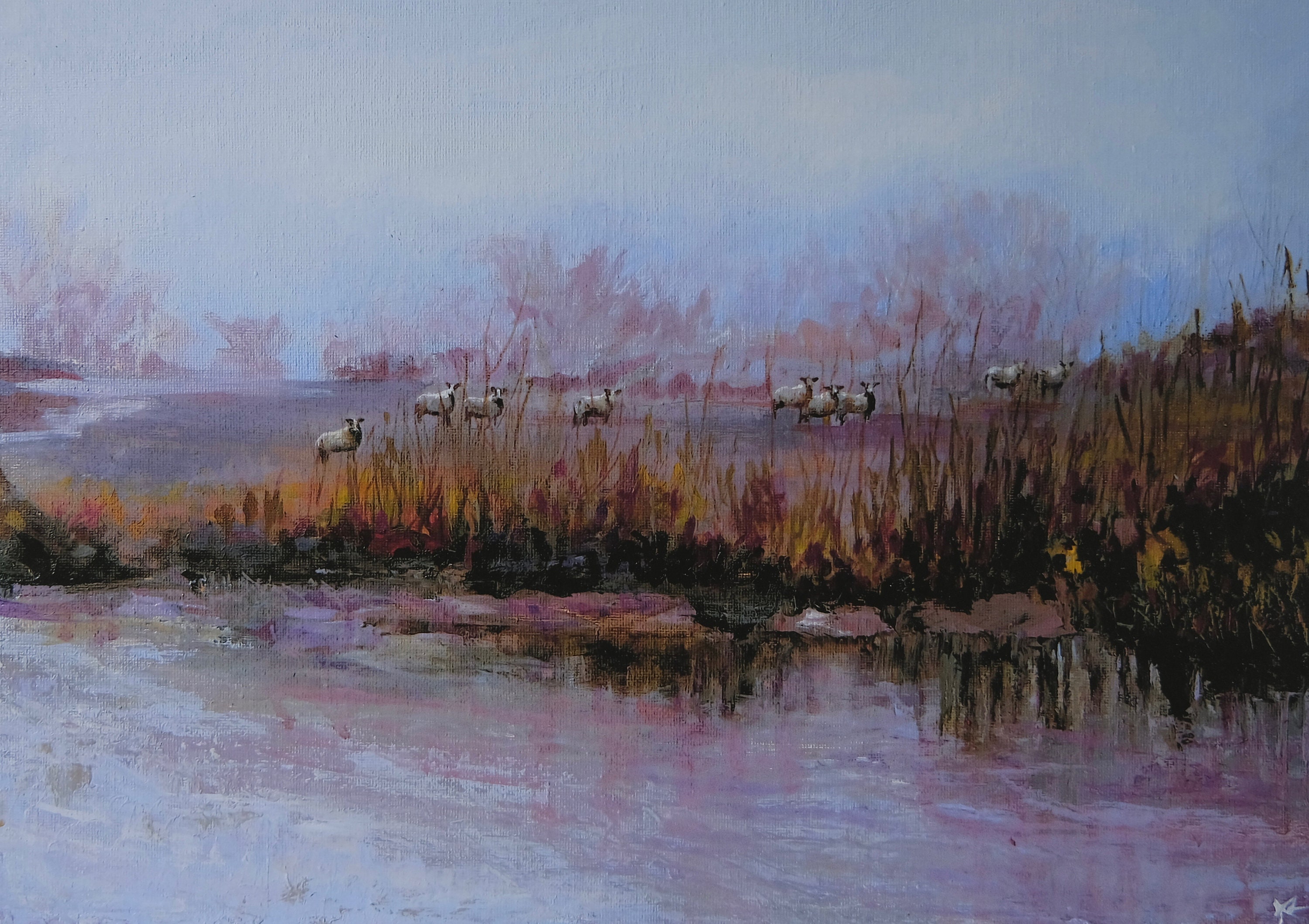 RIVERS EDGE Afon Tywi River Towy Towy Valley Carmarthen Llandelio ...