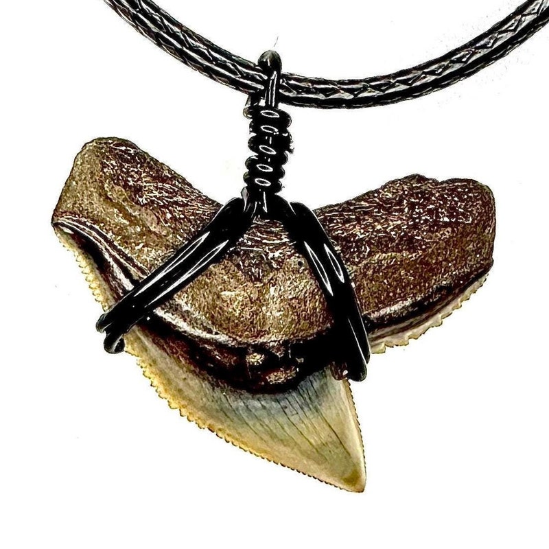 Tooth Gem Real - Etsy