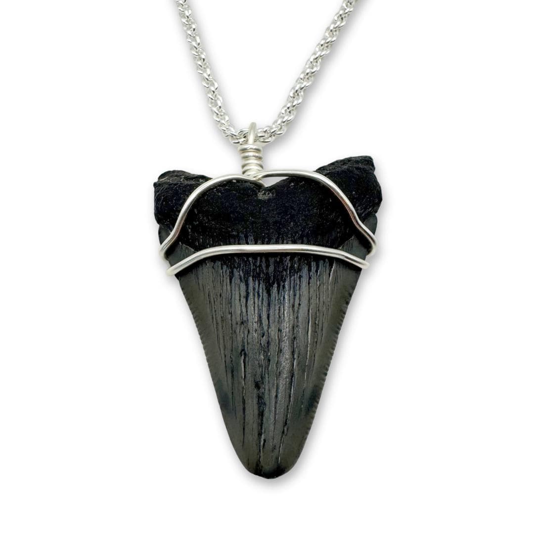 REAL Handmade Sterling Silver Filled Rope Chain Megalodon Necklace ...