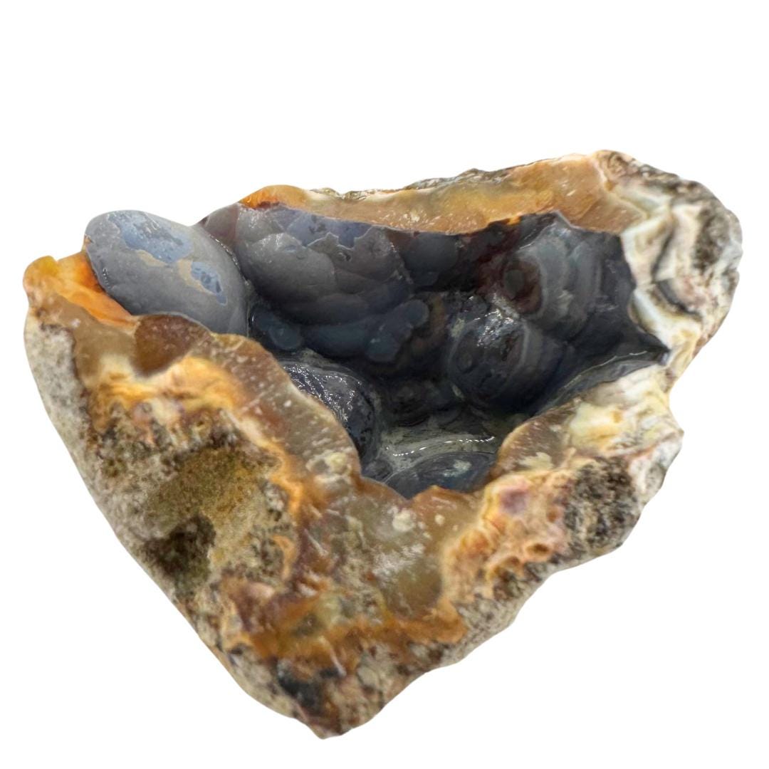 Orange & Blue Agate Coral Geode, Fossilized Agatized Crystal, Tampa Bay ...