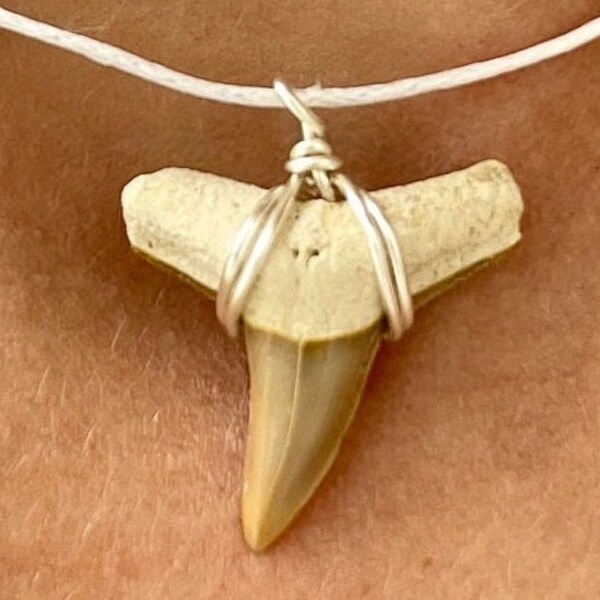 Natural Horn Tooth Bone Necklace - Etsy