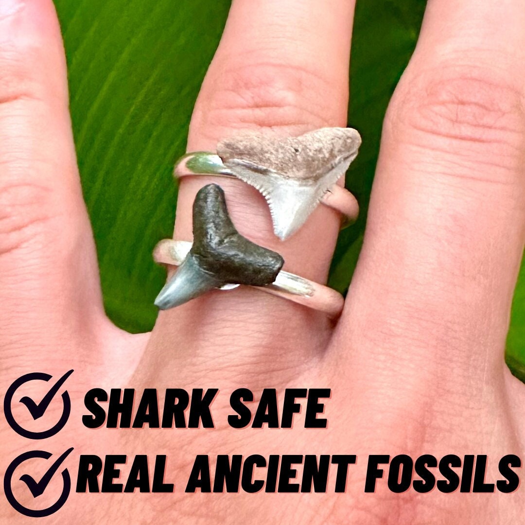 Real Fossil Shark Teeth Rings, Authentic Fossilized Sharks Tooth ...