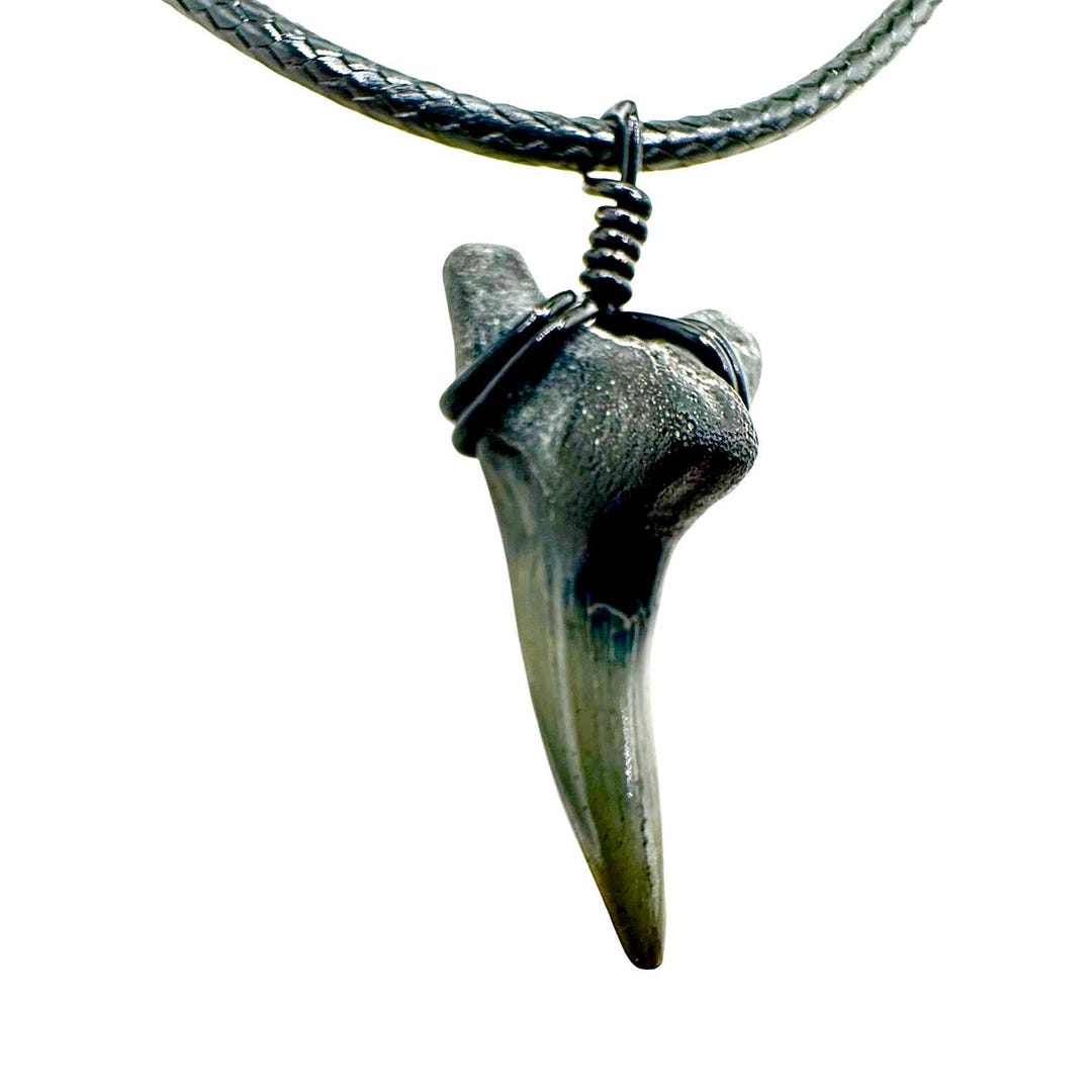 DAGGER Shark Tooth Necklace, Real Lower Jaw Snaggletooth Fossil, Sharks ...