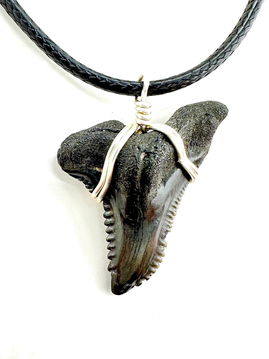 Snaggletooth Shark Tooth Fossil Ethical Necklace, Real Ancient ...