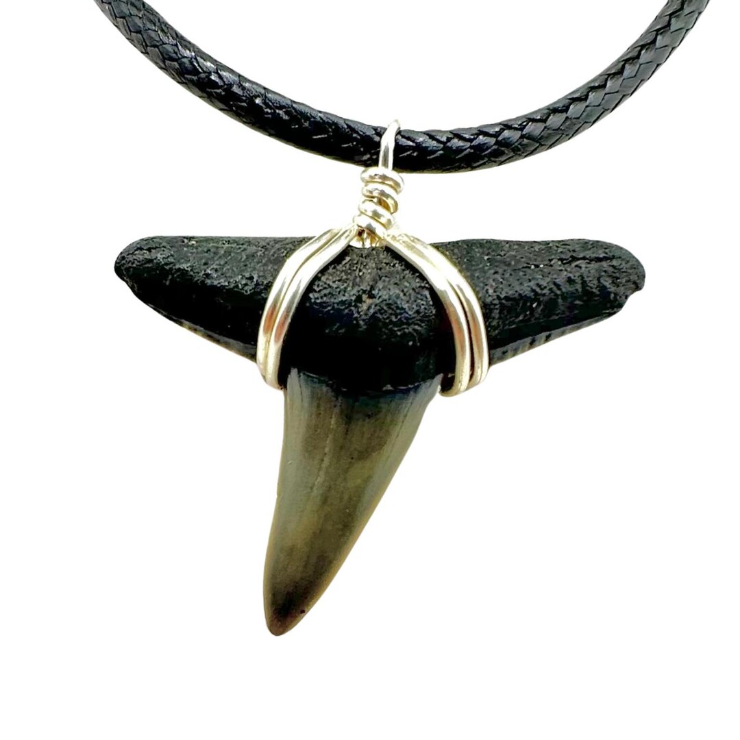 REAL Lemon Shark Tooth Necklace, Sharks Teeth Jewelry, Authentic ...