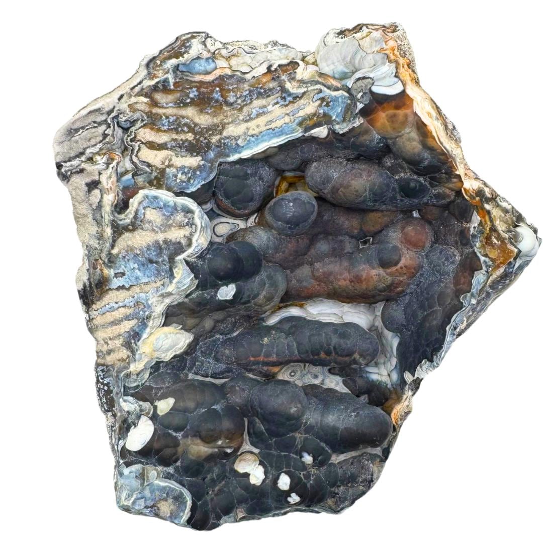 Rare Black & Blue Agatized Coral Geode – Unique Botryoidal Fossilized ...