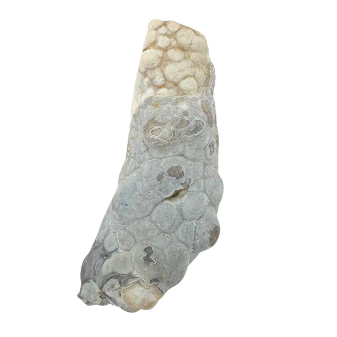 White Botryoidal Coral Geode Natural Raw, and Unique Decorative Crystal ...
