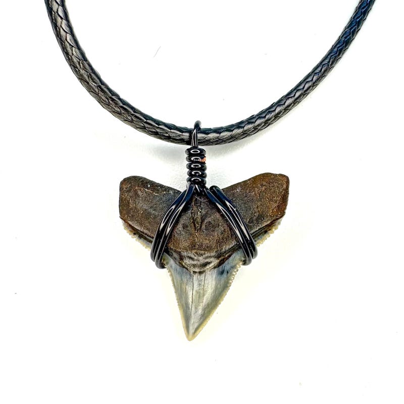 Shark Teeth Necklace - Etsy