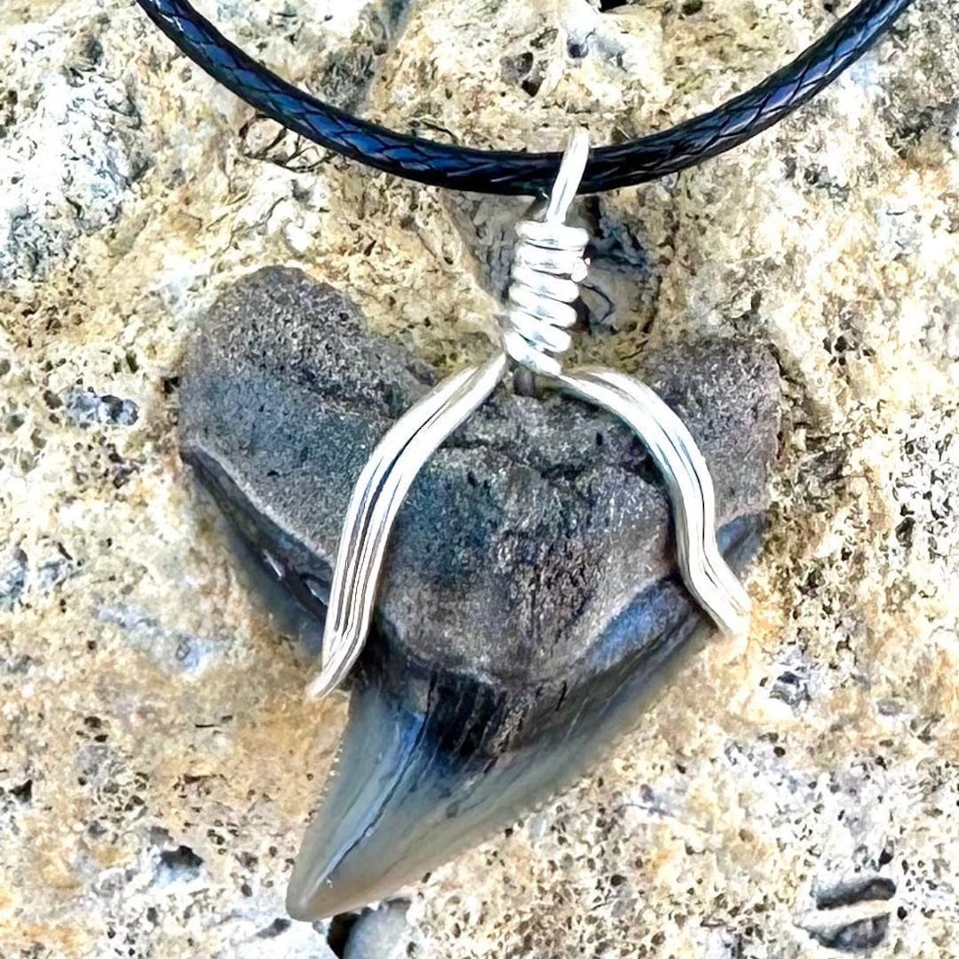 REAL Tiger Shark Tooth Necklace, Rare Ethical Fossil Sharks Teeth ...