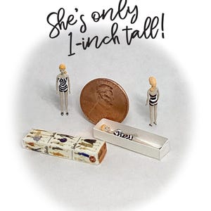 Tiny 1" Tall Classic Vintage Barbie (1:12 Scale - With or Without Box ...