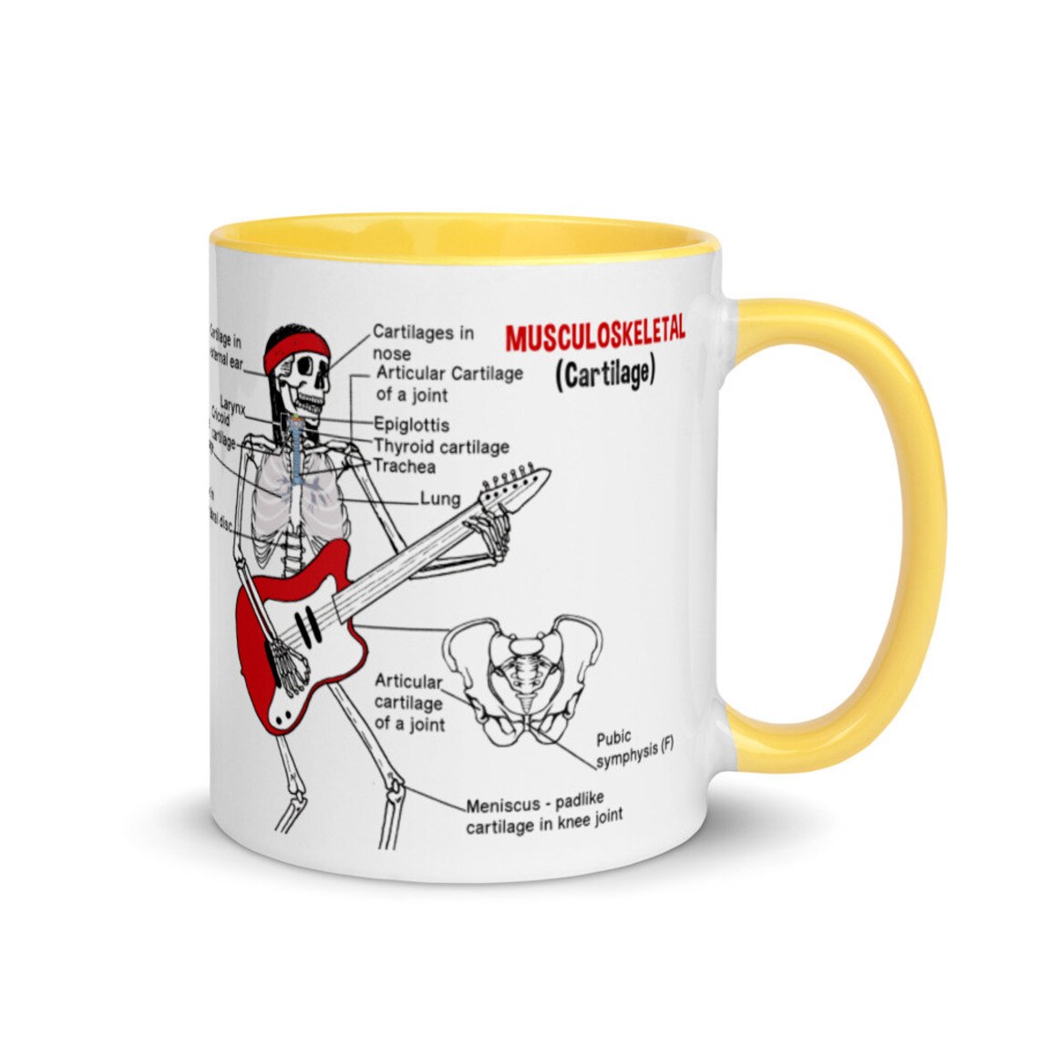 Skeletal and Musculoskeletal Mug Various Colours - Etsy Australia