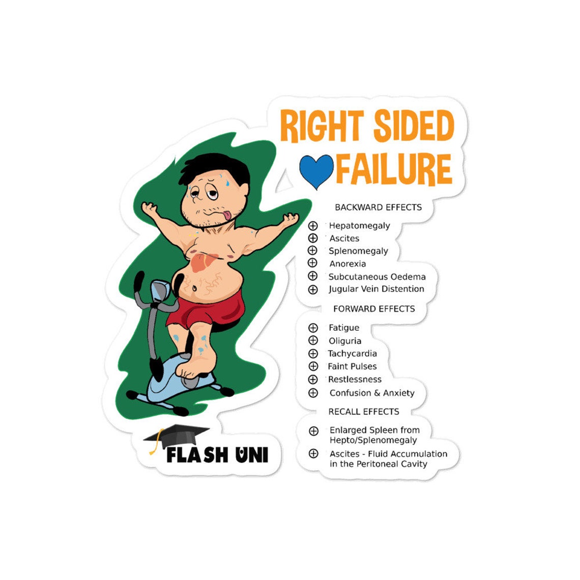 Right Sided Heart Failure Sticker Nursing Gifts - Etsy